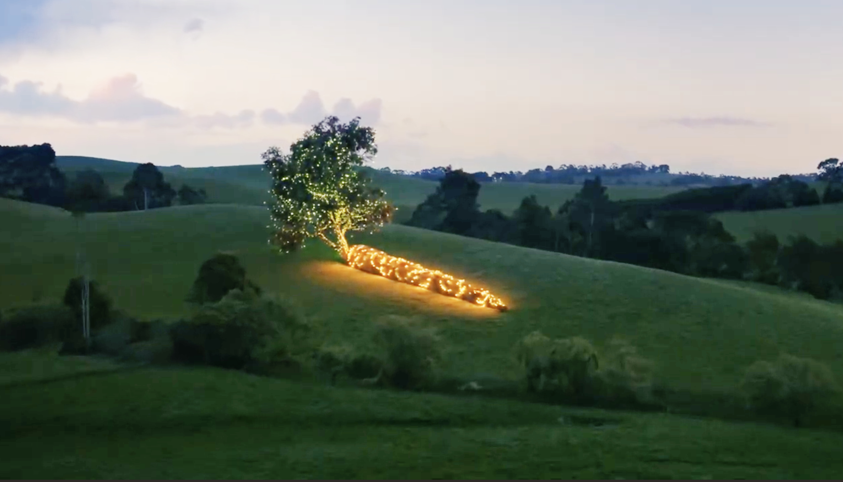 Woolworths recycles 2024 Christmas ad, redirects marketing budget ...