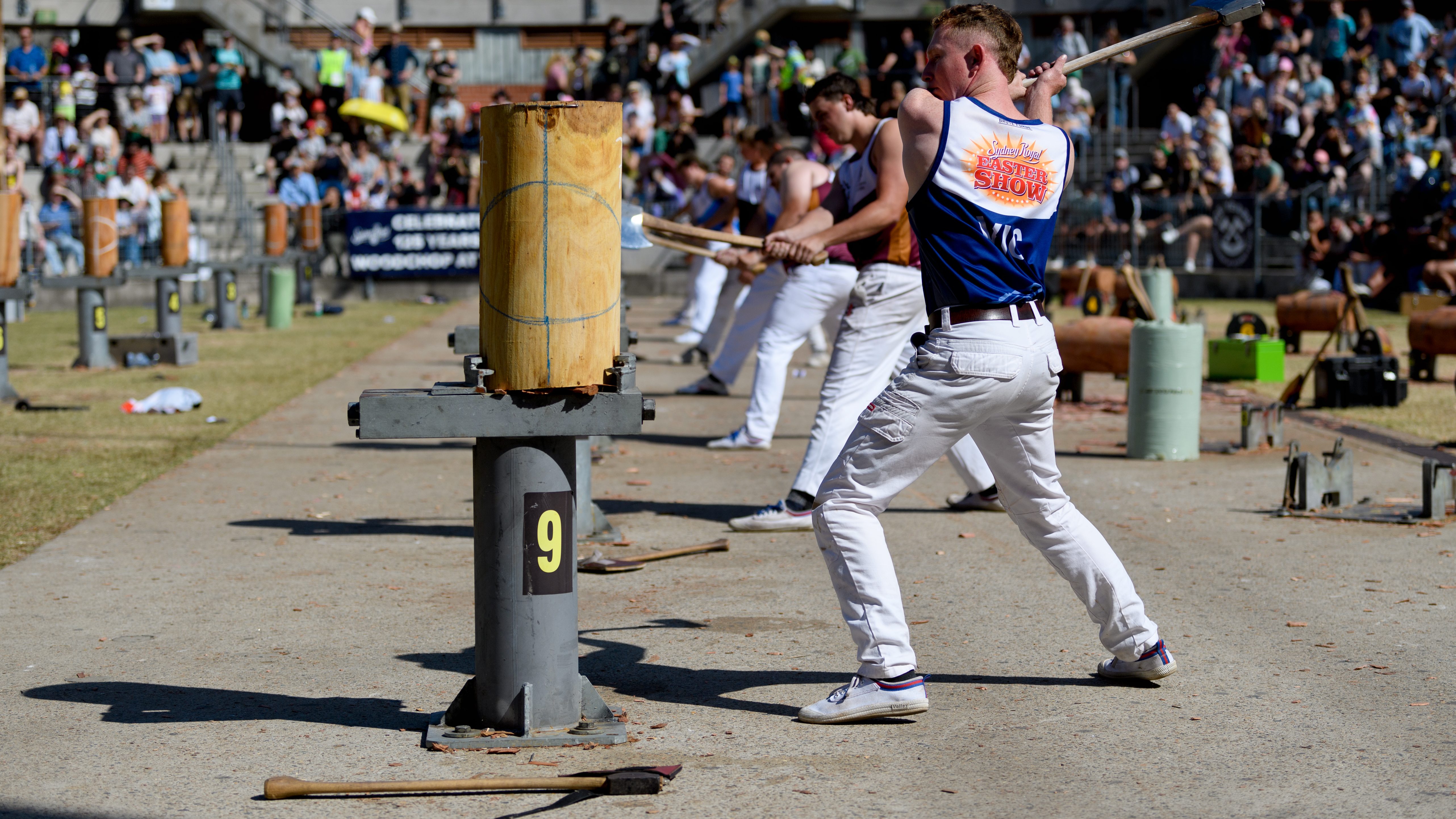 The Sydney Royal Easter Show appoints comms partner
